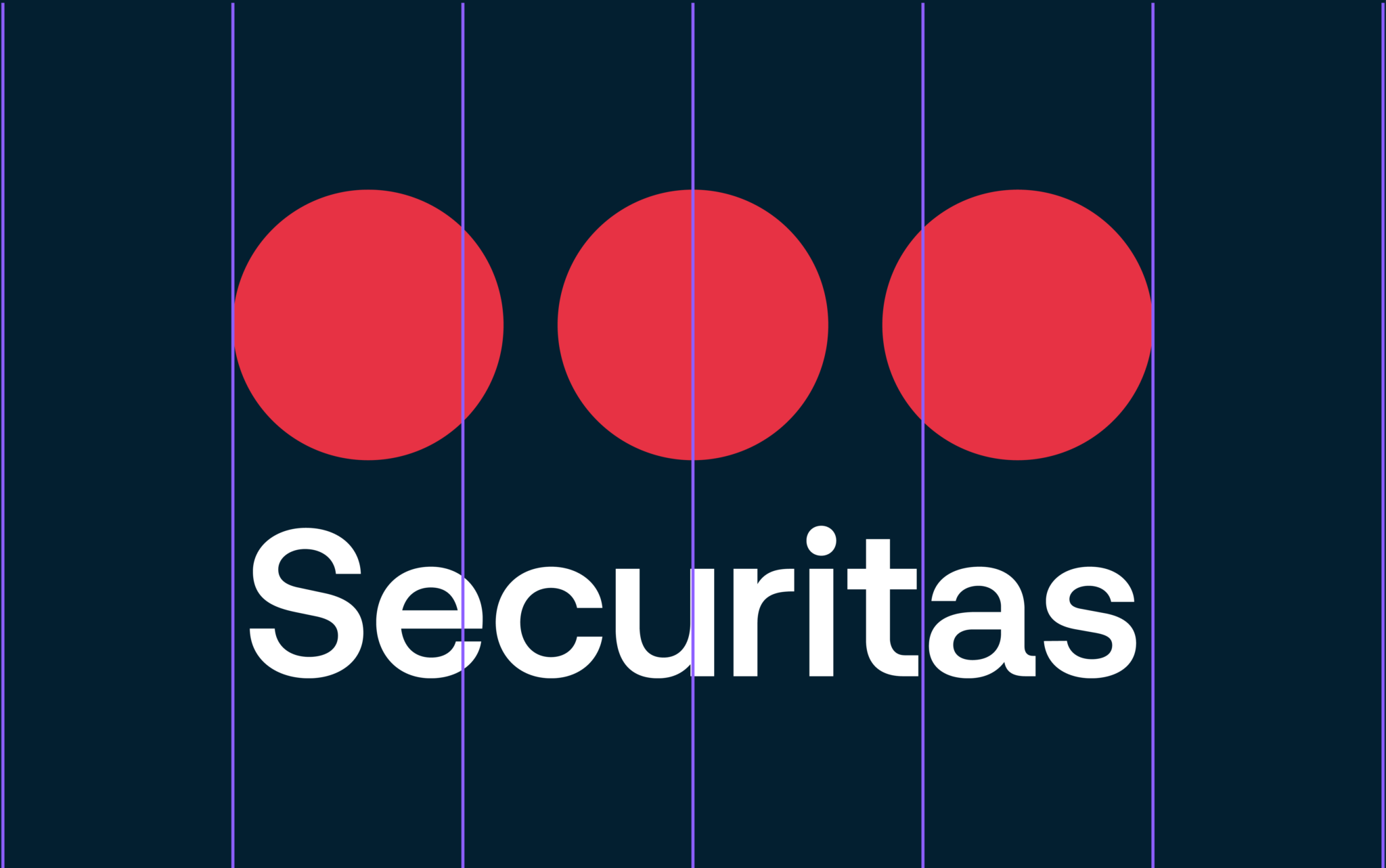 Flags | Securitas Brand Portal